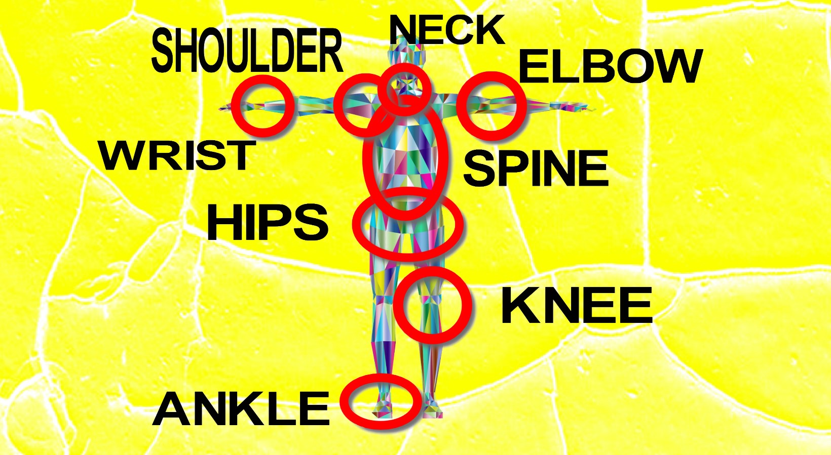 Cage Theory - LifeWithTeresa